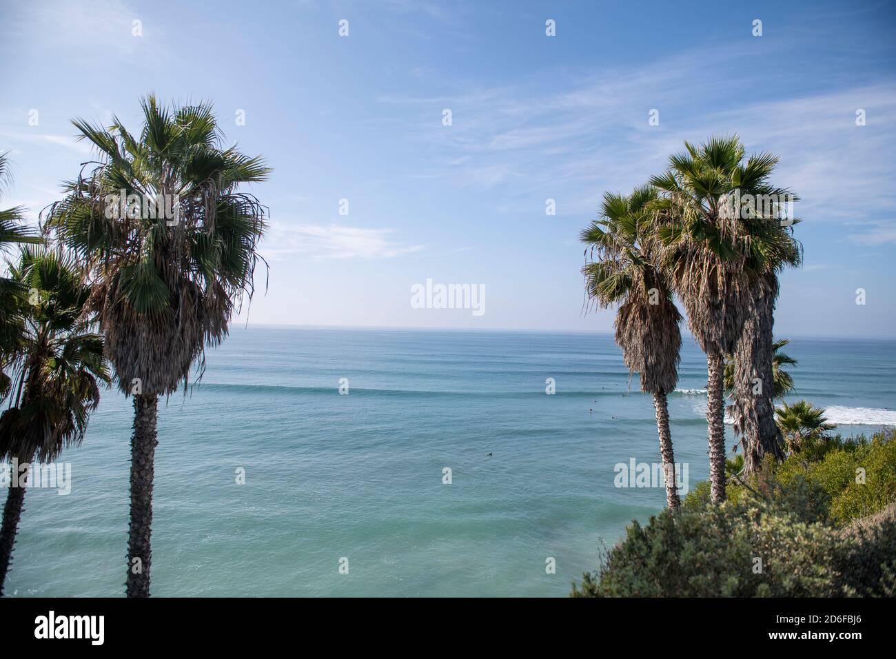 California palm tree surf hi-res stock photography and images - Alamy