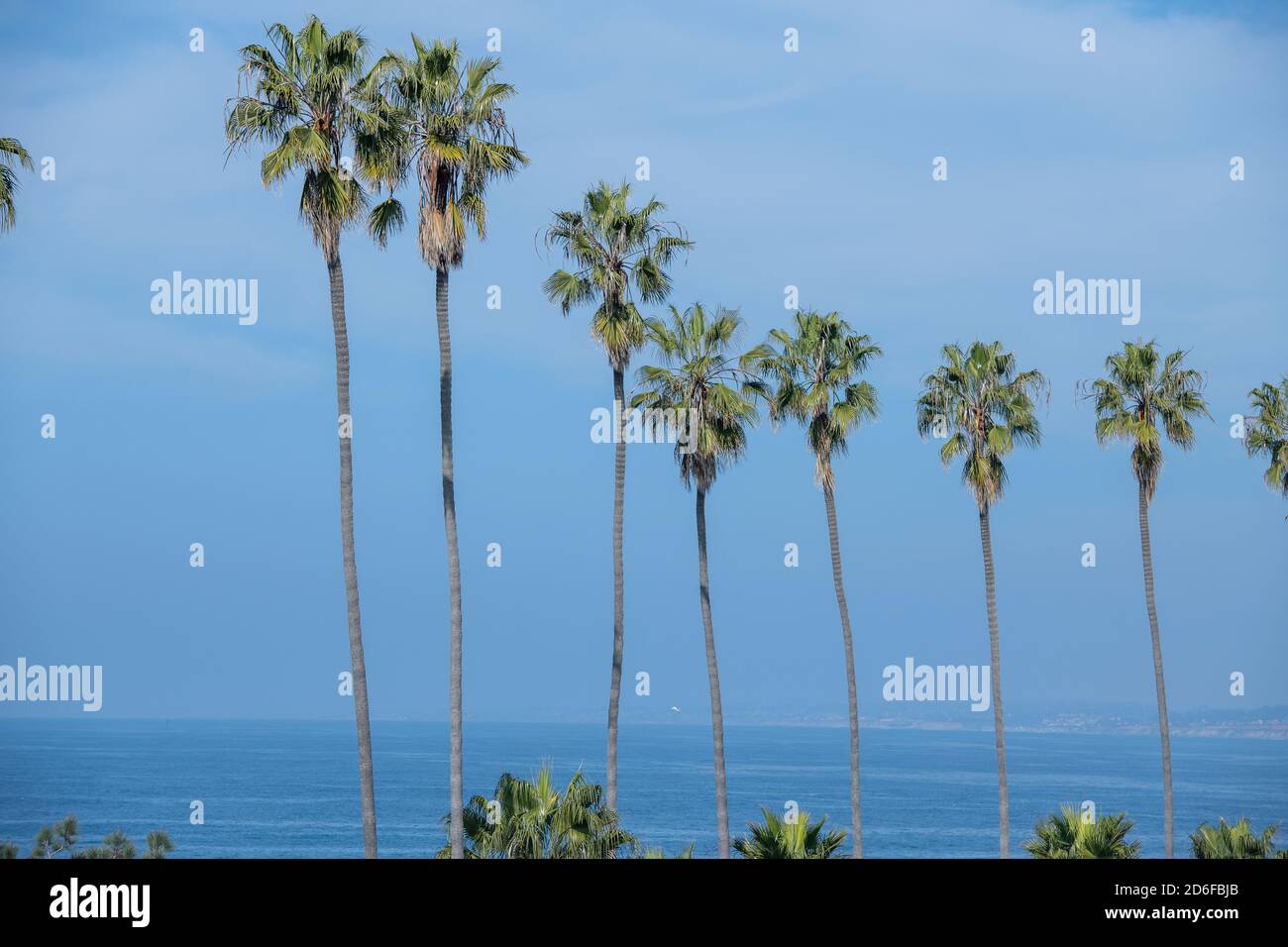 Palm trees pacific ocean hi-res stock photography and images - Alamy