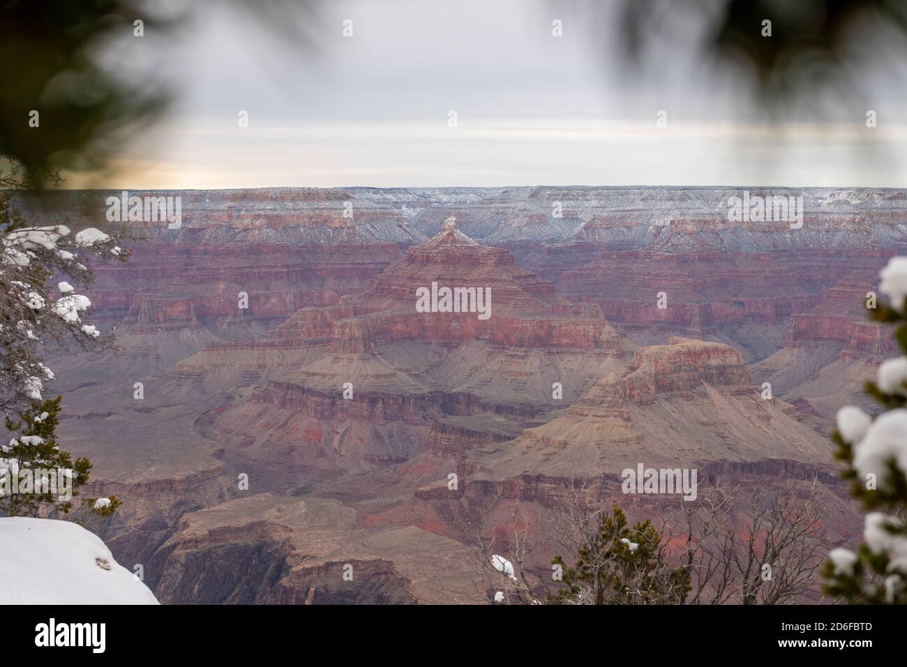 Pine tree framed view of snow covered north rim of the Grand Canyon ...
