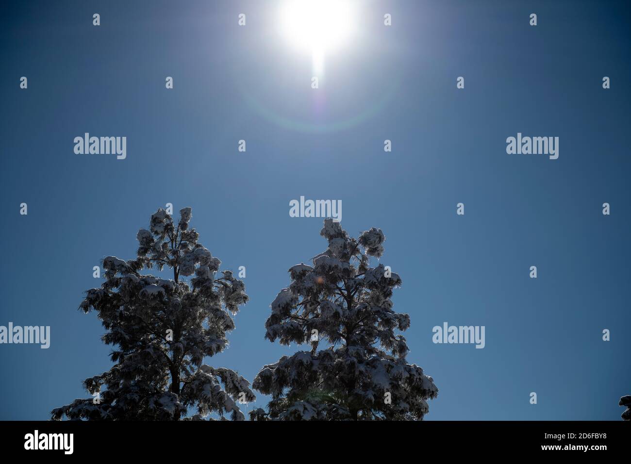 Day sun bright sunny winter hi-res stock photography and images - Alamy
