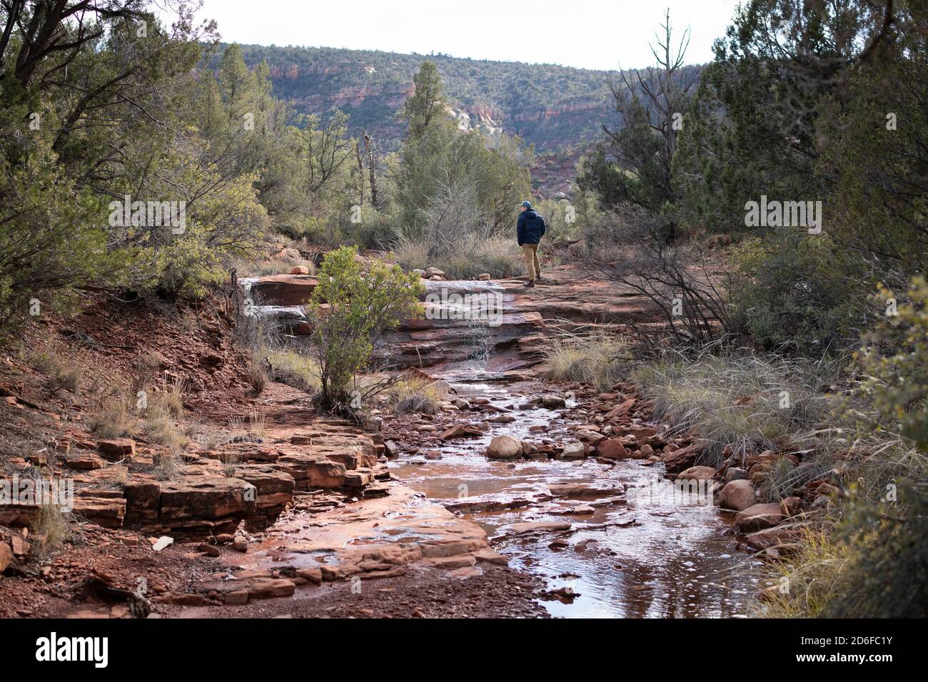 Adult male hiker explores Red Rock State Park riverbed, Sedona Arizona ...