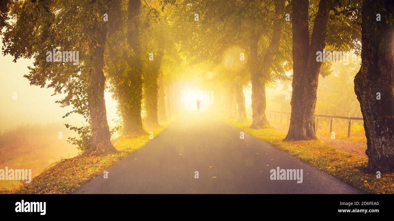 Man runs into bright light at the end of a road with trees Stock Photo ...