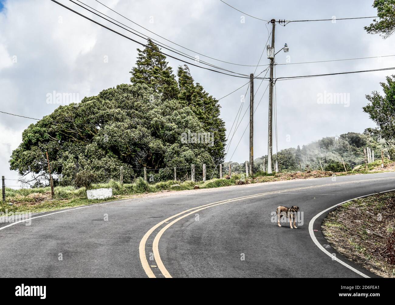 Car rural costa rica hi-res stock photography and images - Alamy