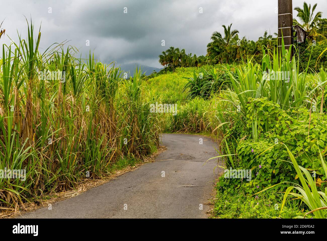 Saint philippe reunion hi-res stock photography and images - Alamy