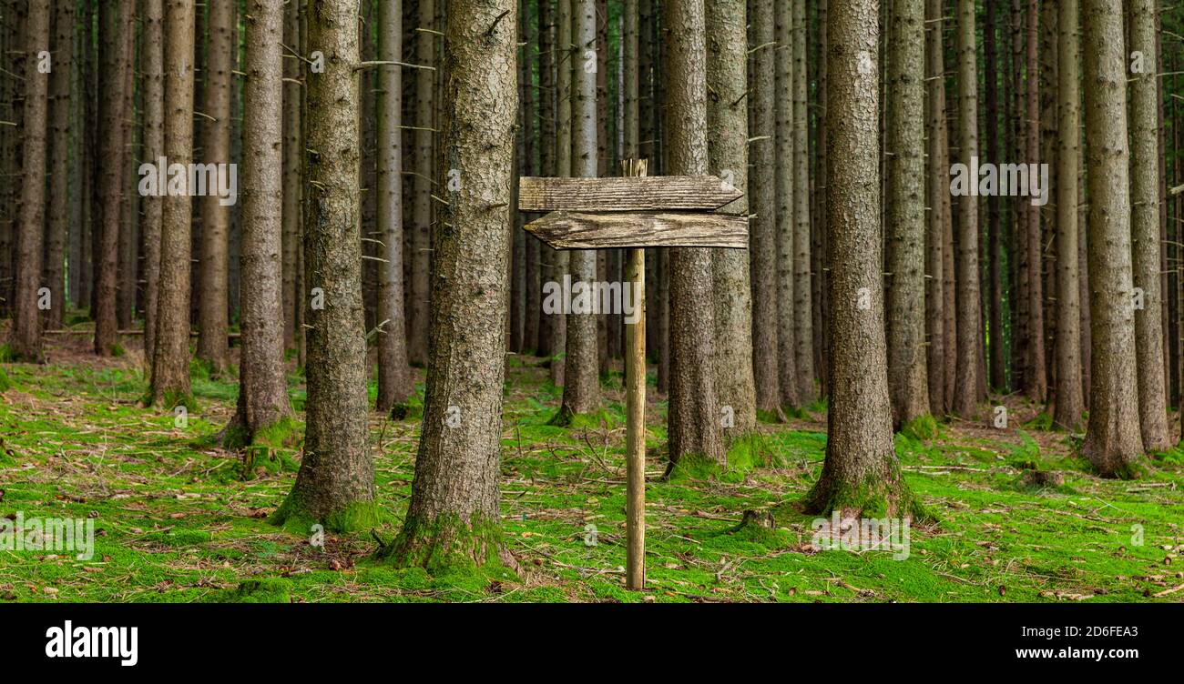 Old wooden sign in the forest Stock Photo - Alamy