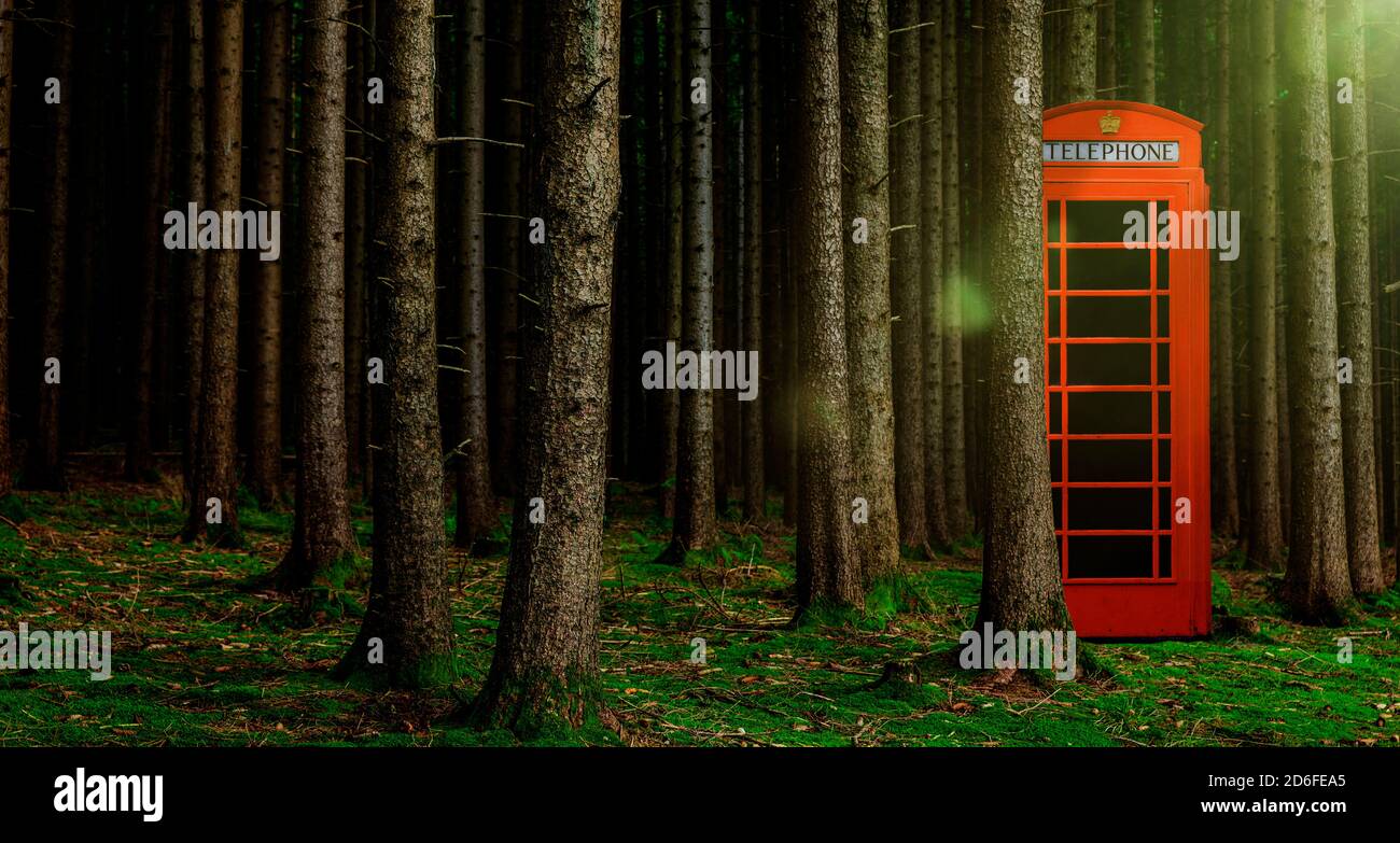 Whimsy in wood hi-res stock photography and images - Alamy