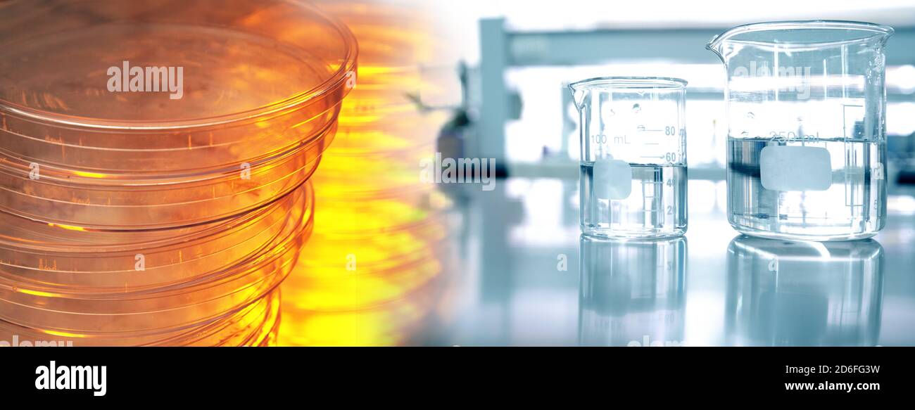 water in clear beaker in science laboratory and petri dish microbiology ...