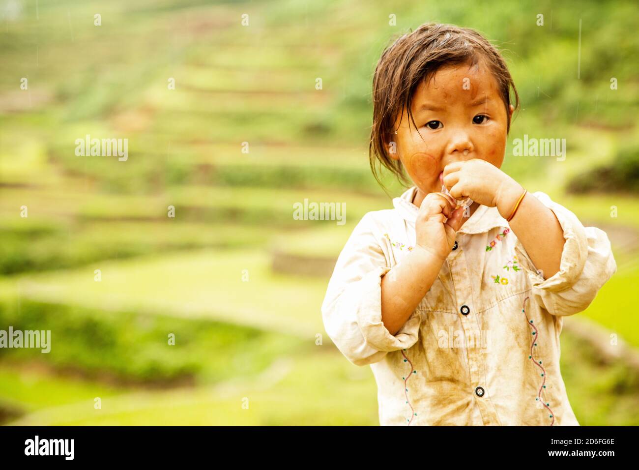 Rice fields, children in Vietnam Stock Photo - Alamy