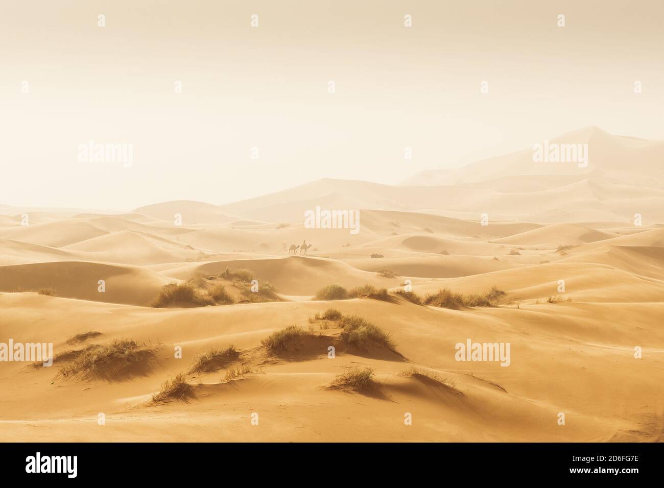 Sahara brown hi-res stock photography and images - Alamy