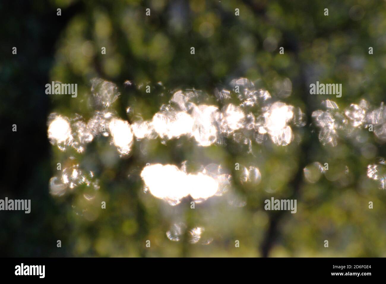 View through branches at lake, blur Stock Photo - Alamy