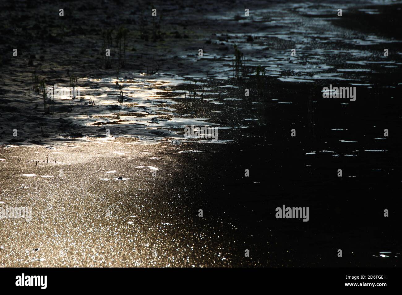 Lake, water, silt Stock Photo - Alamy