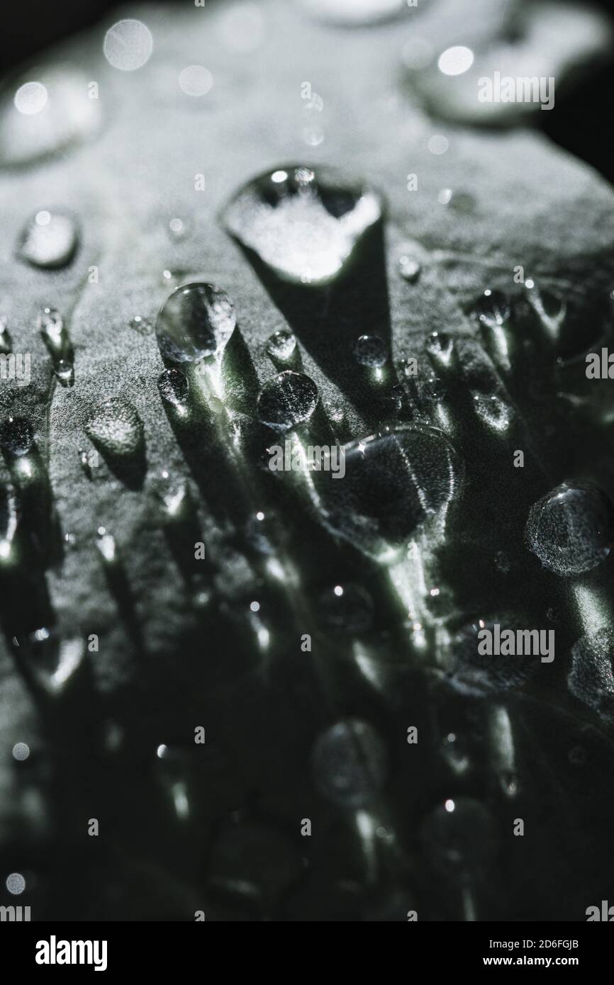 Drop od water hi-res stock photography and images - Alamy