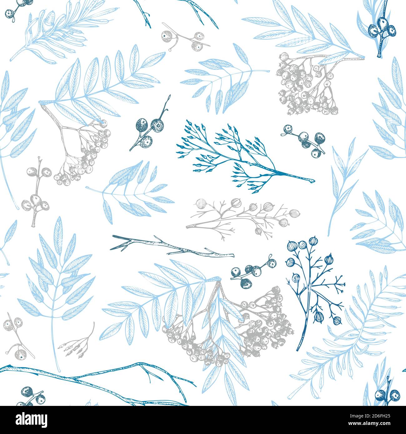 Vector pattern twigs berries Cut Out Stock Images & Pictures - Alamy