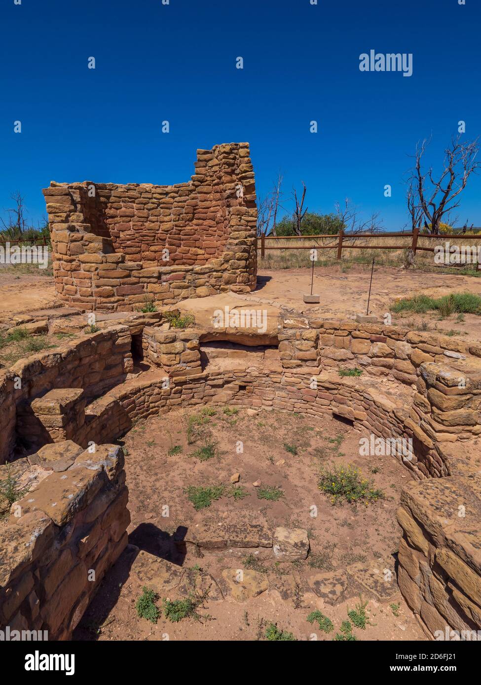 Cedar Tree Tower, Mesa Verde National Park, Mancos, Colorado Stock ...