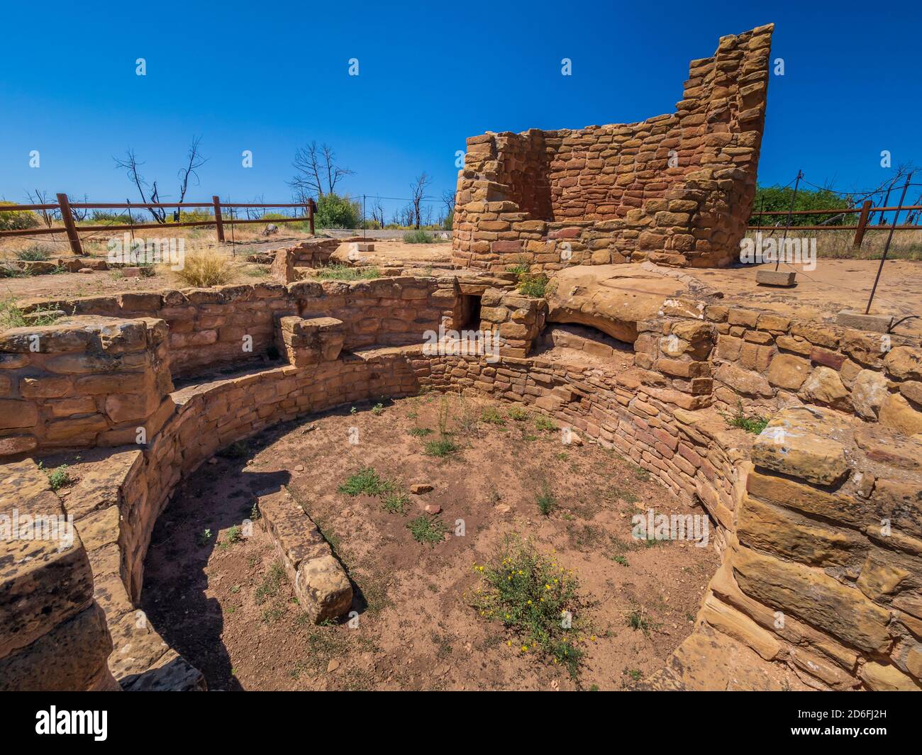 Cedar tree tower hi-res stock photography and images - Alamy