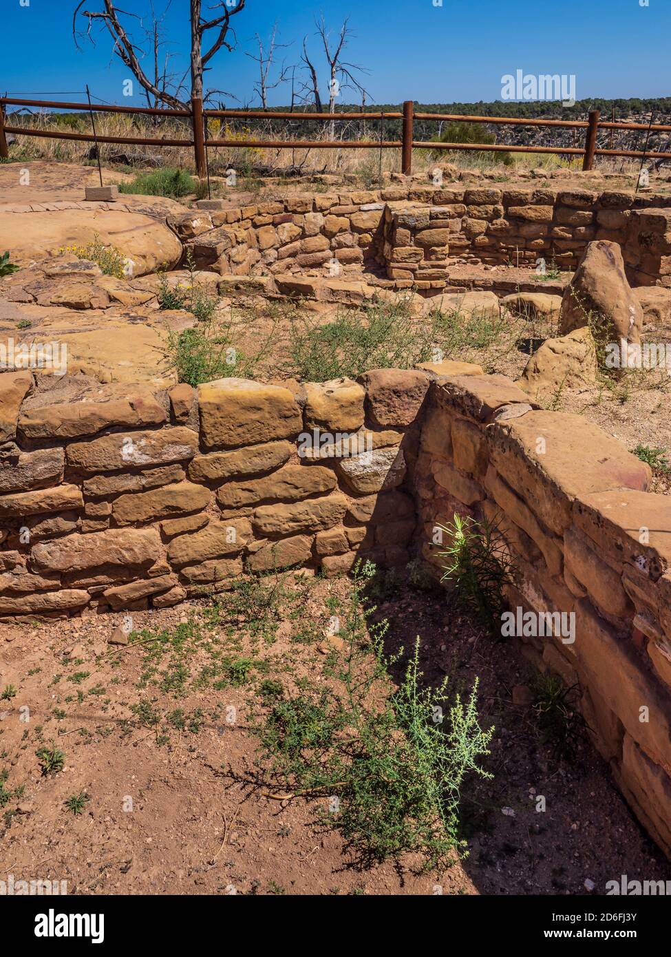 Cedar Tree Tower, Mesa Verde National Park, Mancos, Colorado Stock ...