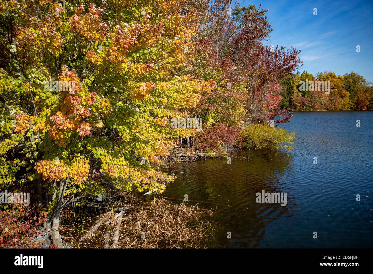 The fantastic colors of the trees along a reservior in the autumn ...