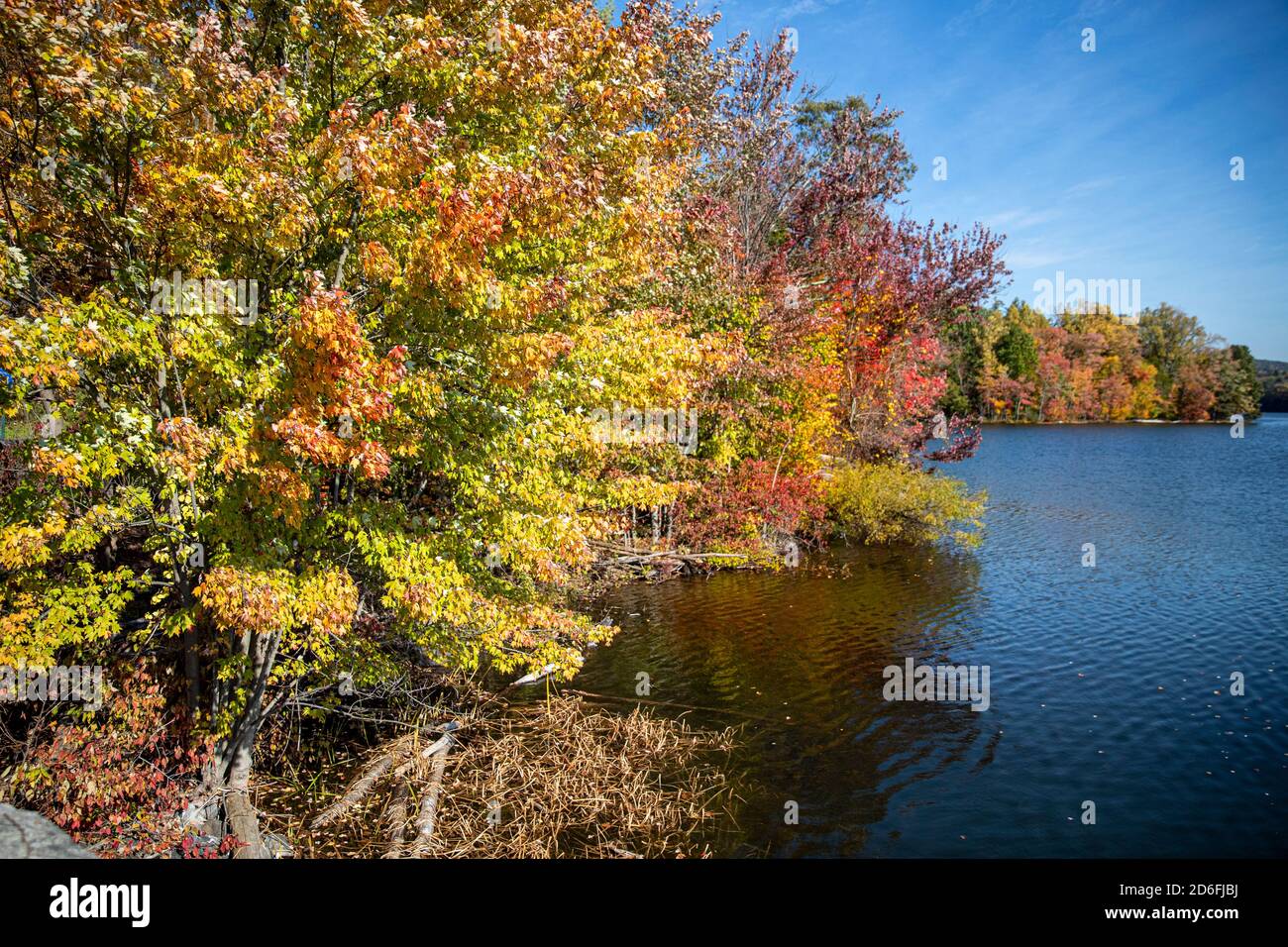 The fantastic colors of the trees along a reservior in the autumn ...