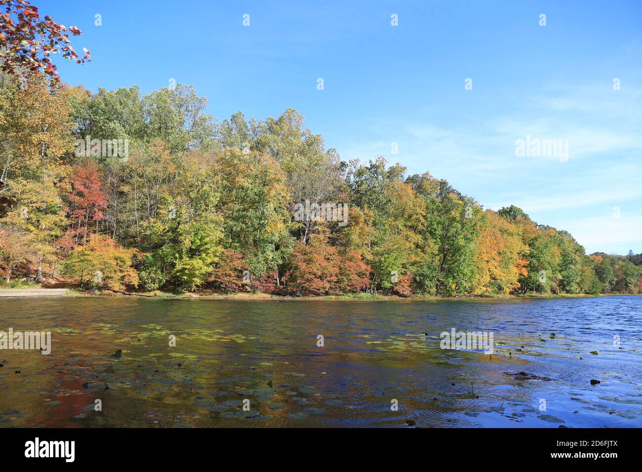 The beautiful colors of the autumn along a lake in upstate New York ...