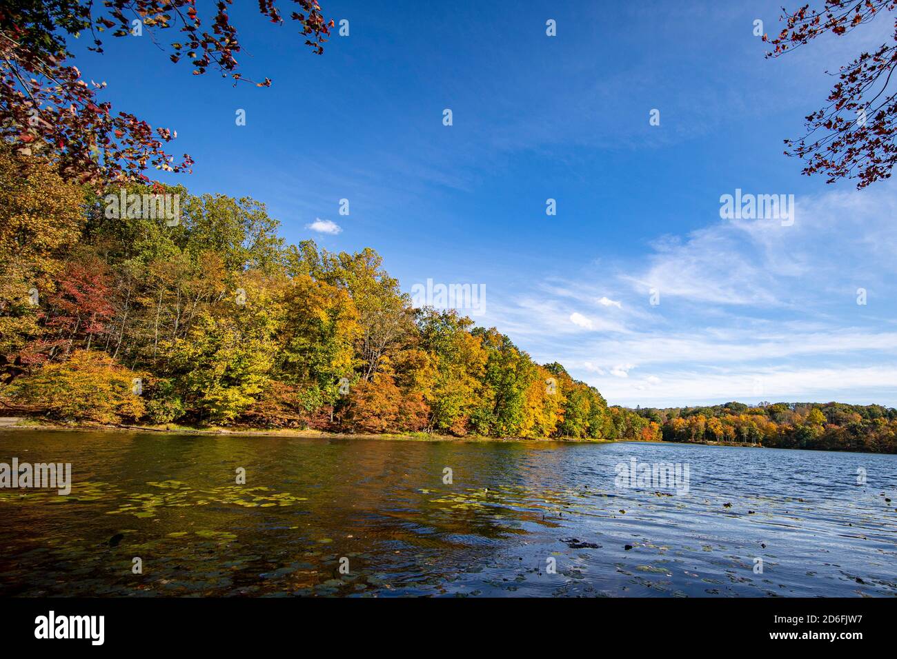 The beautiful colors of the autumn along a lake in upstate New York ...