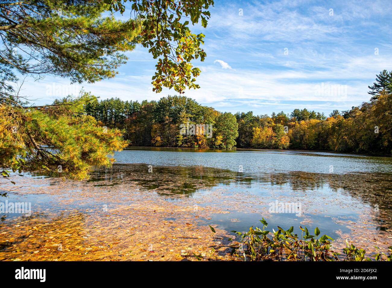 The beautiful colors of the autumn along a lake in upstate New York ...