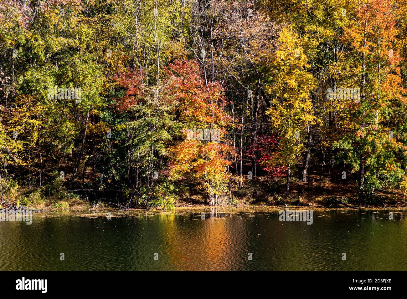 The beautiful colors of the autumn along a lake in upstate New York ...