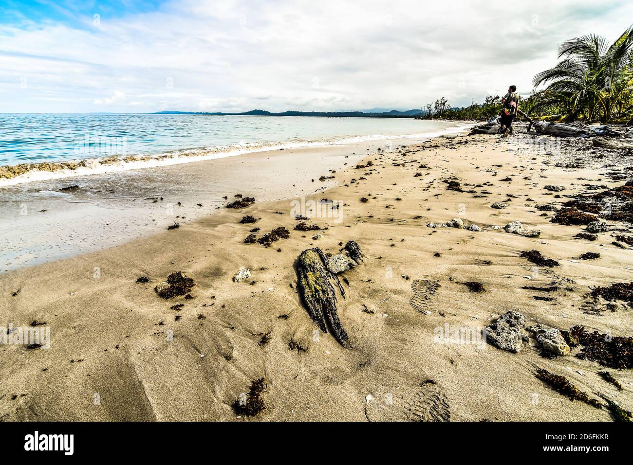 footprints on the beach, in costa rica central america Stock Photo - Alamy