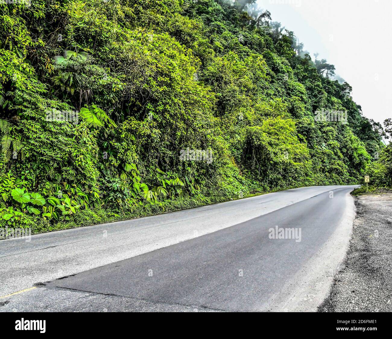 road in forest, in costa rica central america Stock Photo - Alamy