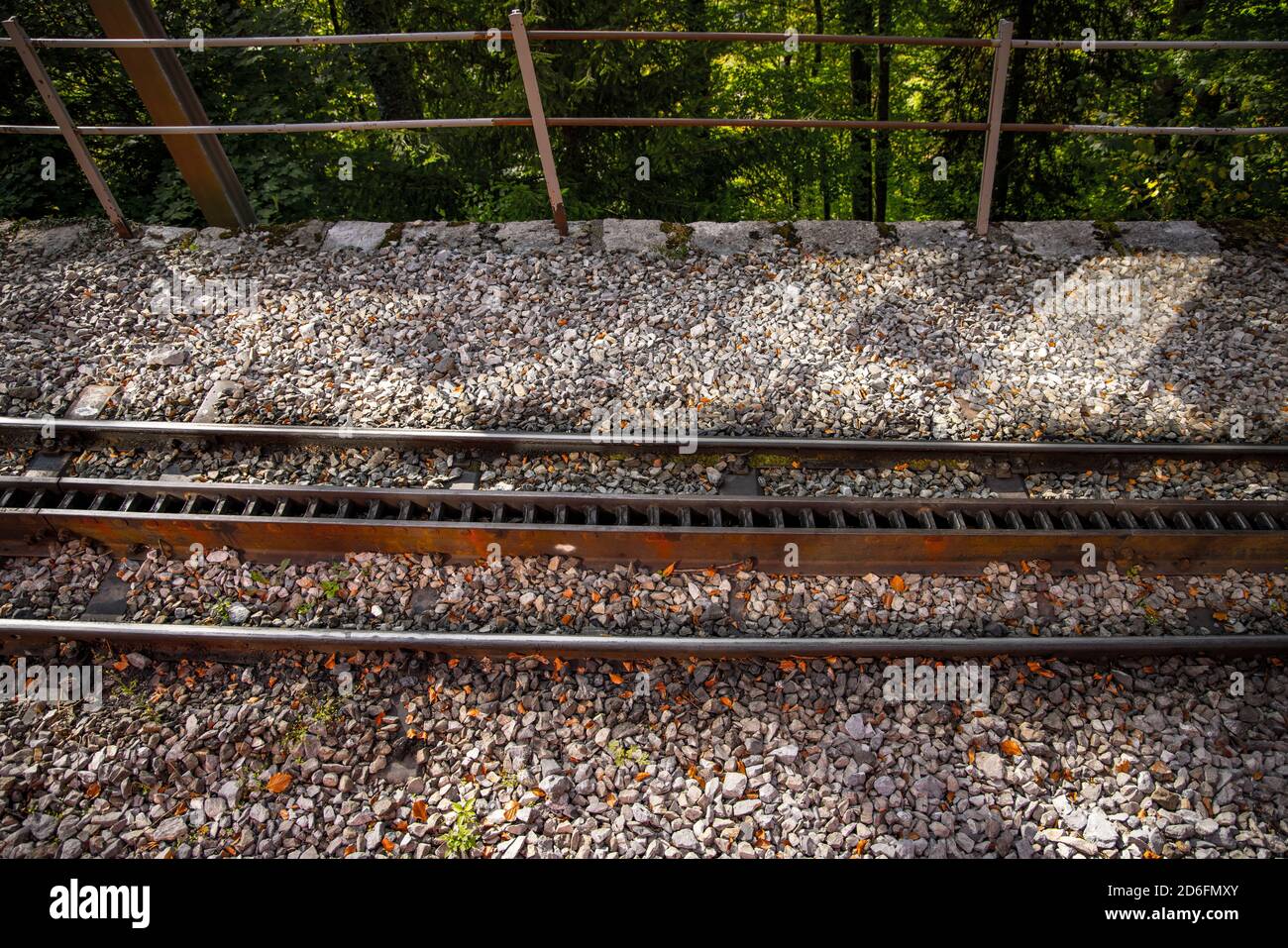 Cog railway train tracks in the Swiss Alps Stock Photo - Alamy