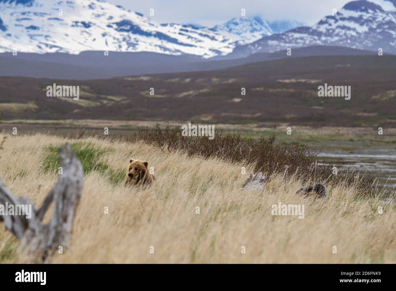 Mcneil river hi-res stock photography and images - Alamy
