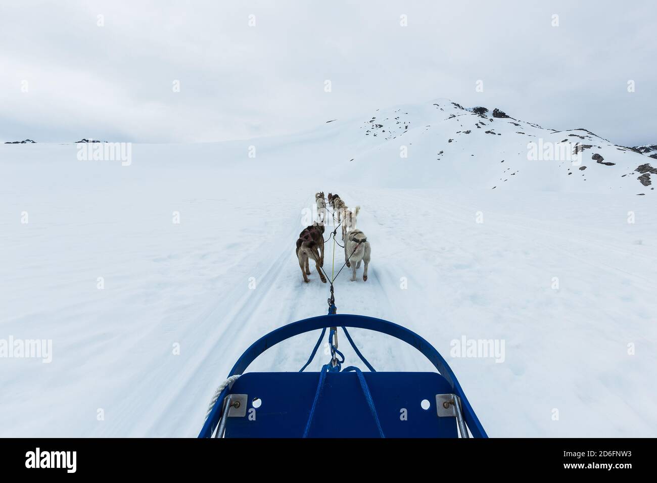Skagway Alaska Dog Sled Hi Res Stock Photography And Images Alamy