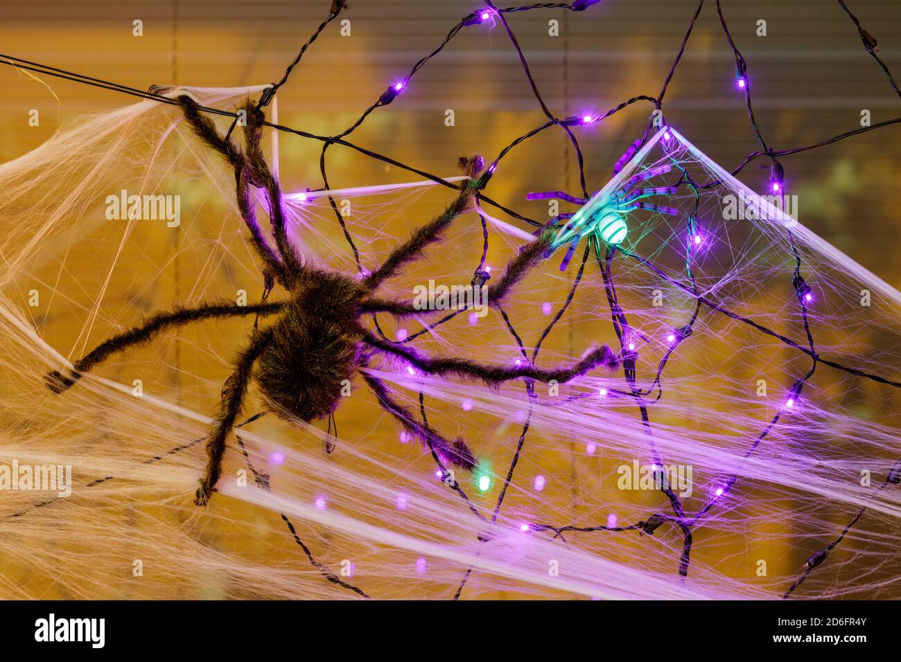 Spider hanging illustration hi-res stock photography and images - Alamy