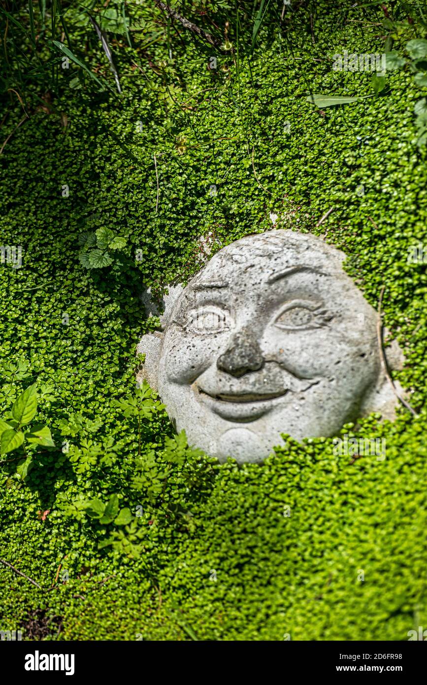 Benign countenance hi-res stock photography and images - Alamy