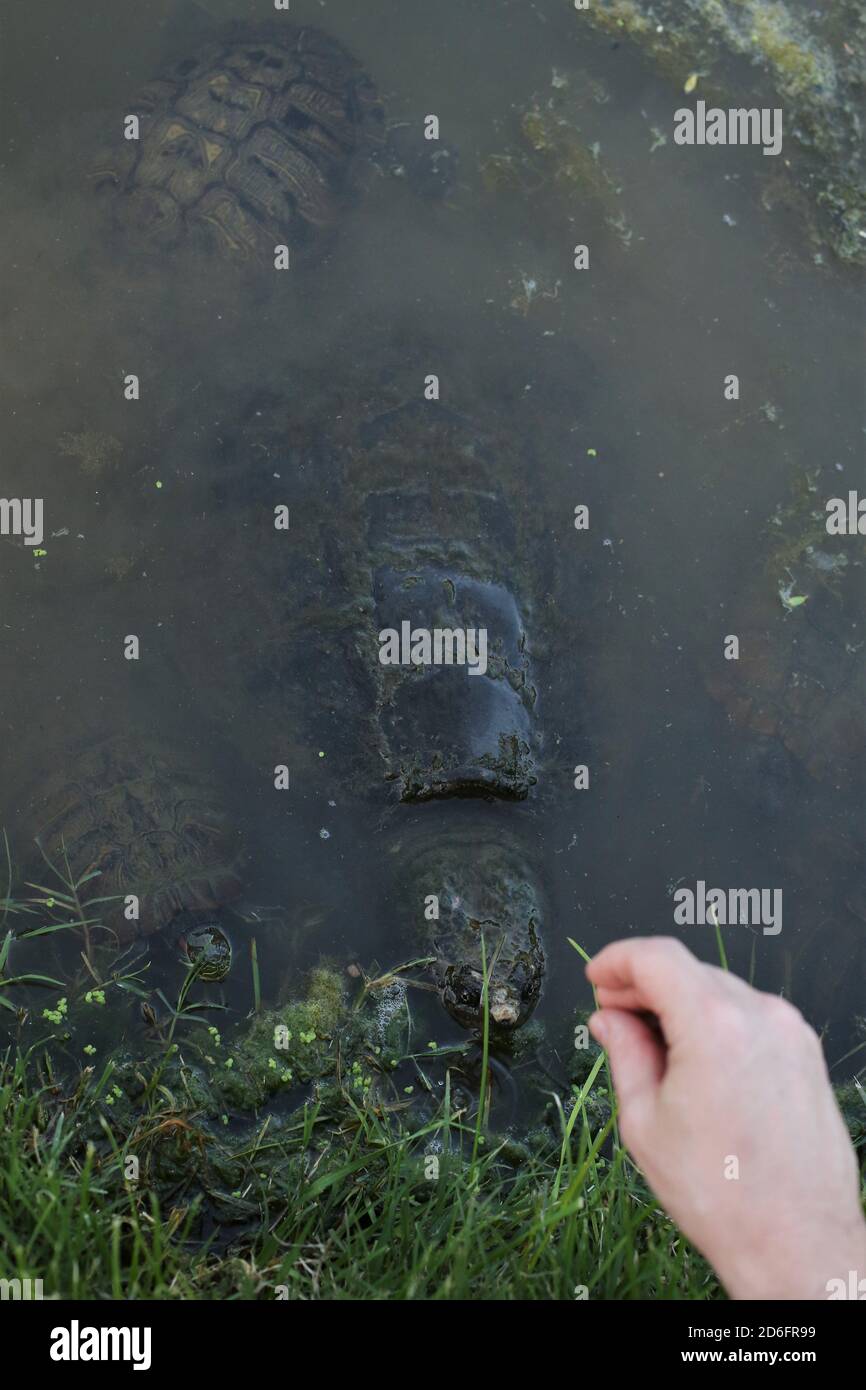 Snapping hand hi-res stock photography and images - Alamy