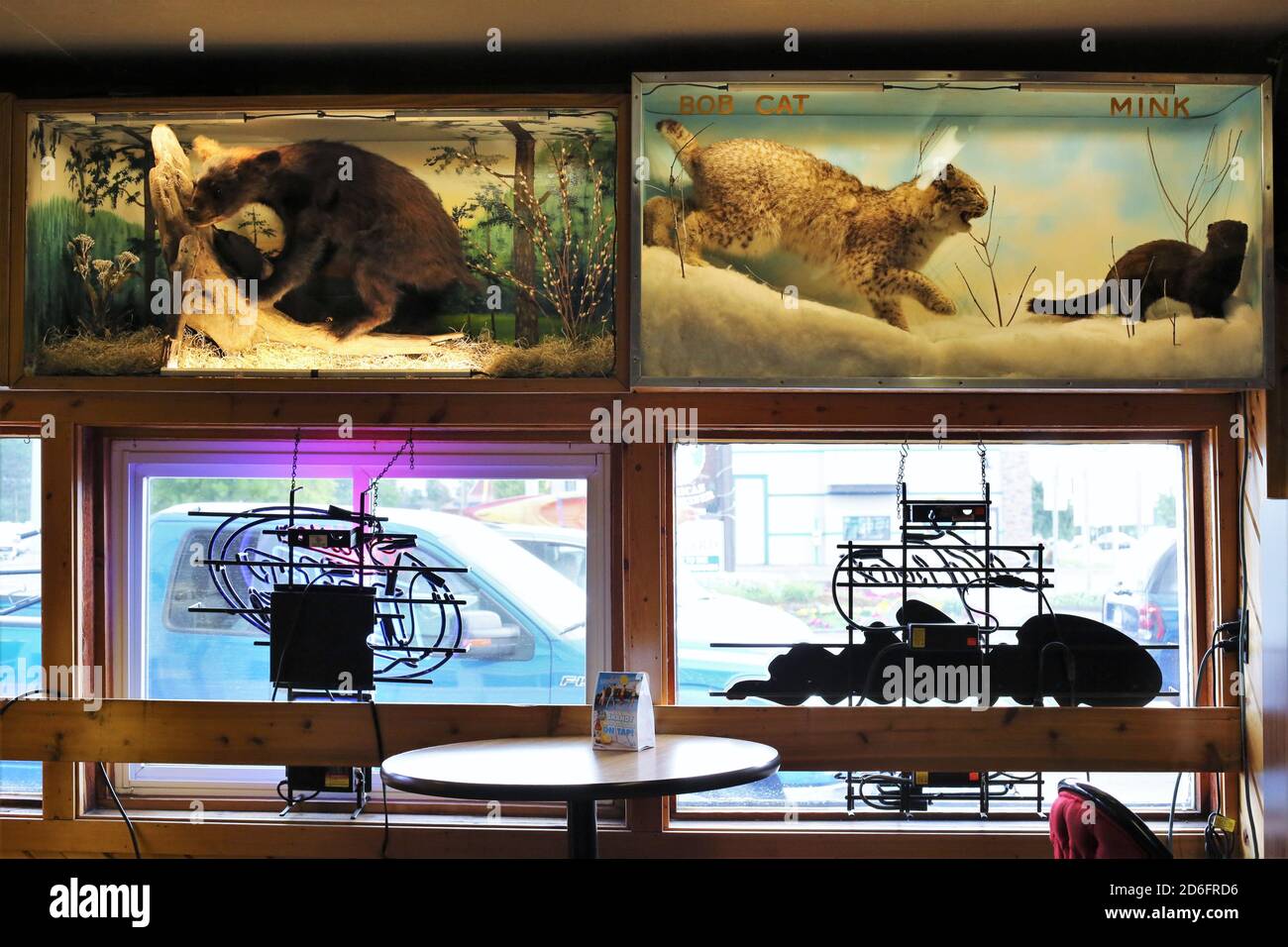 Taxidermy on display at the Moccasin Bar in Hayward, Wisconsin Stock ...