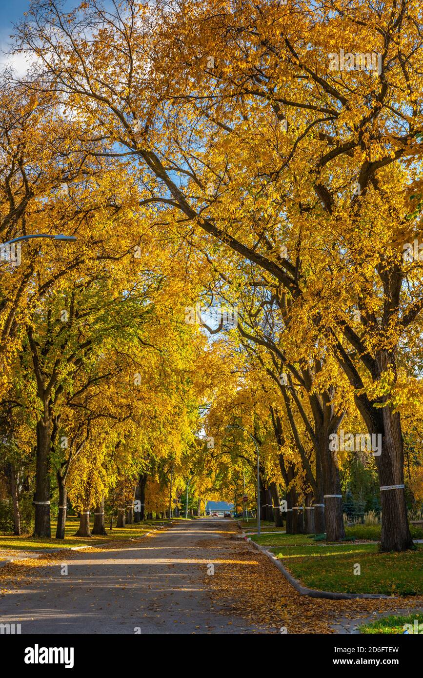 Season autumn street hi-res stock photography and images - Alamy