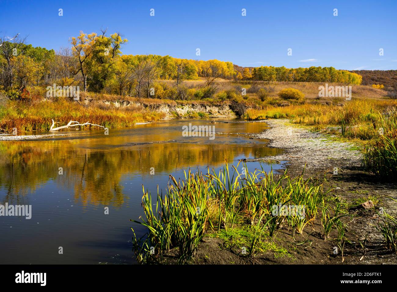 The Pembina River with fall foliage color near Windygates, Manitoba ...