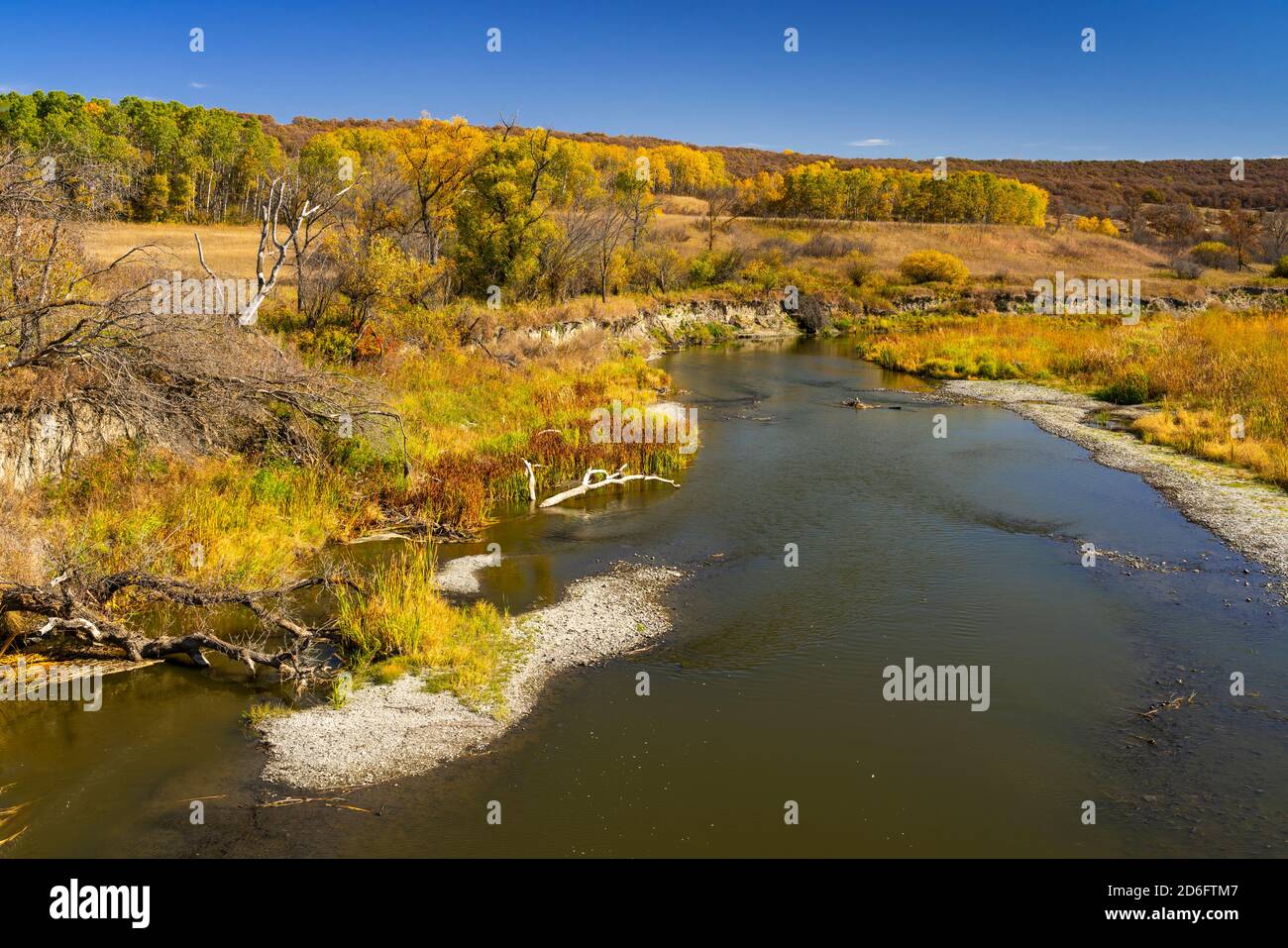 The Pembina River with fall foliage color near Windygates, Manitoba ...