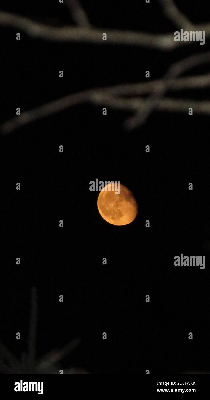 Vertical shot of the moon in the night sky Stock Photo - Alamy