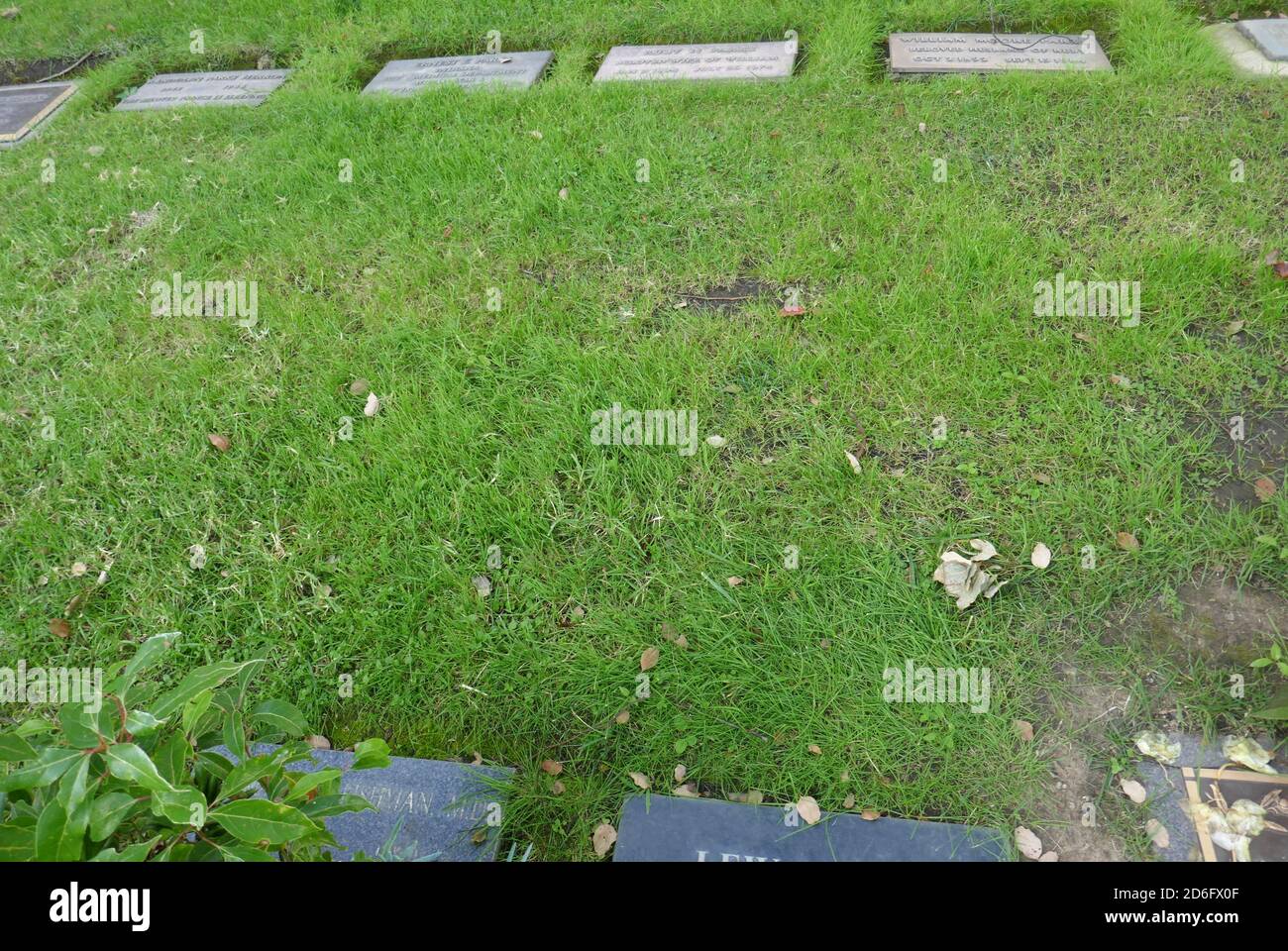 Frank zappa hi-res stock photography and images - Alamy