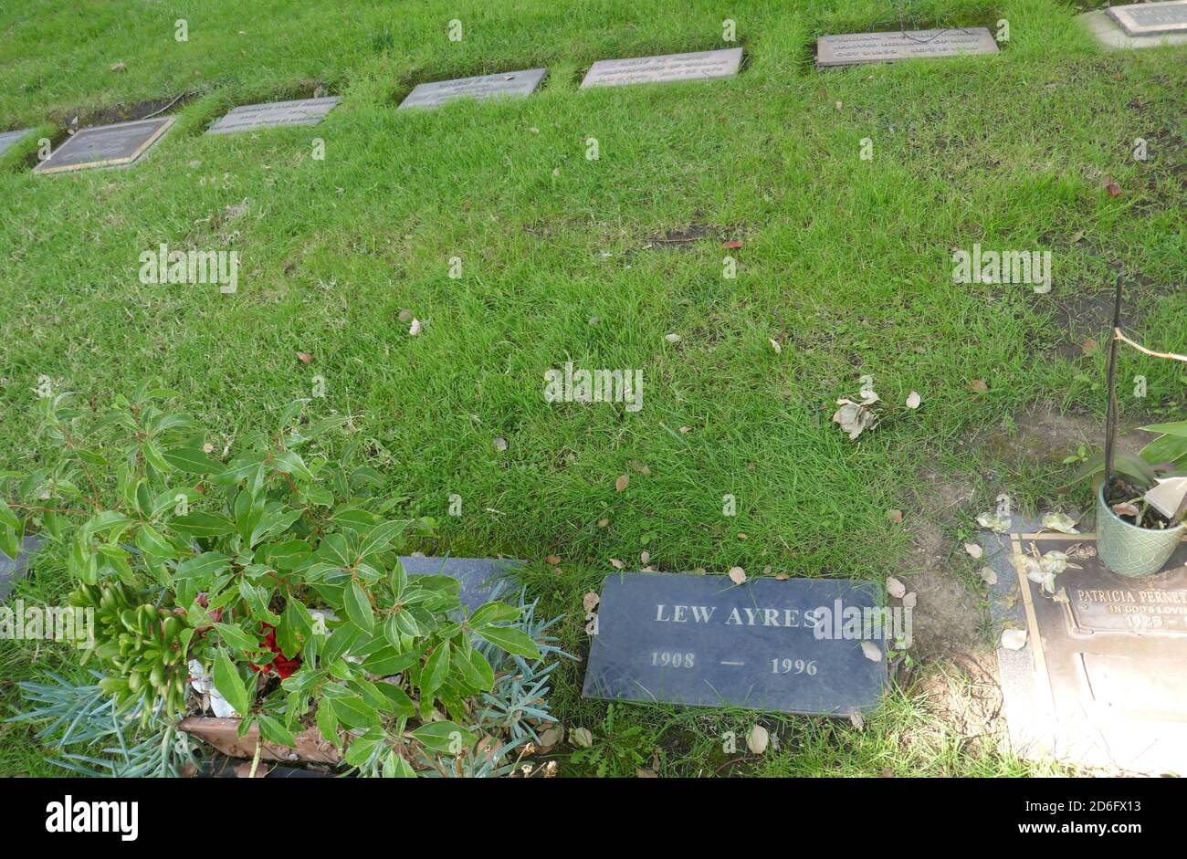 Los Angeles, California, USA 16th October 2020 A general view of ...