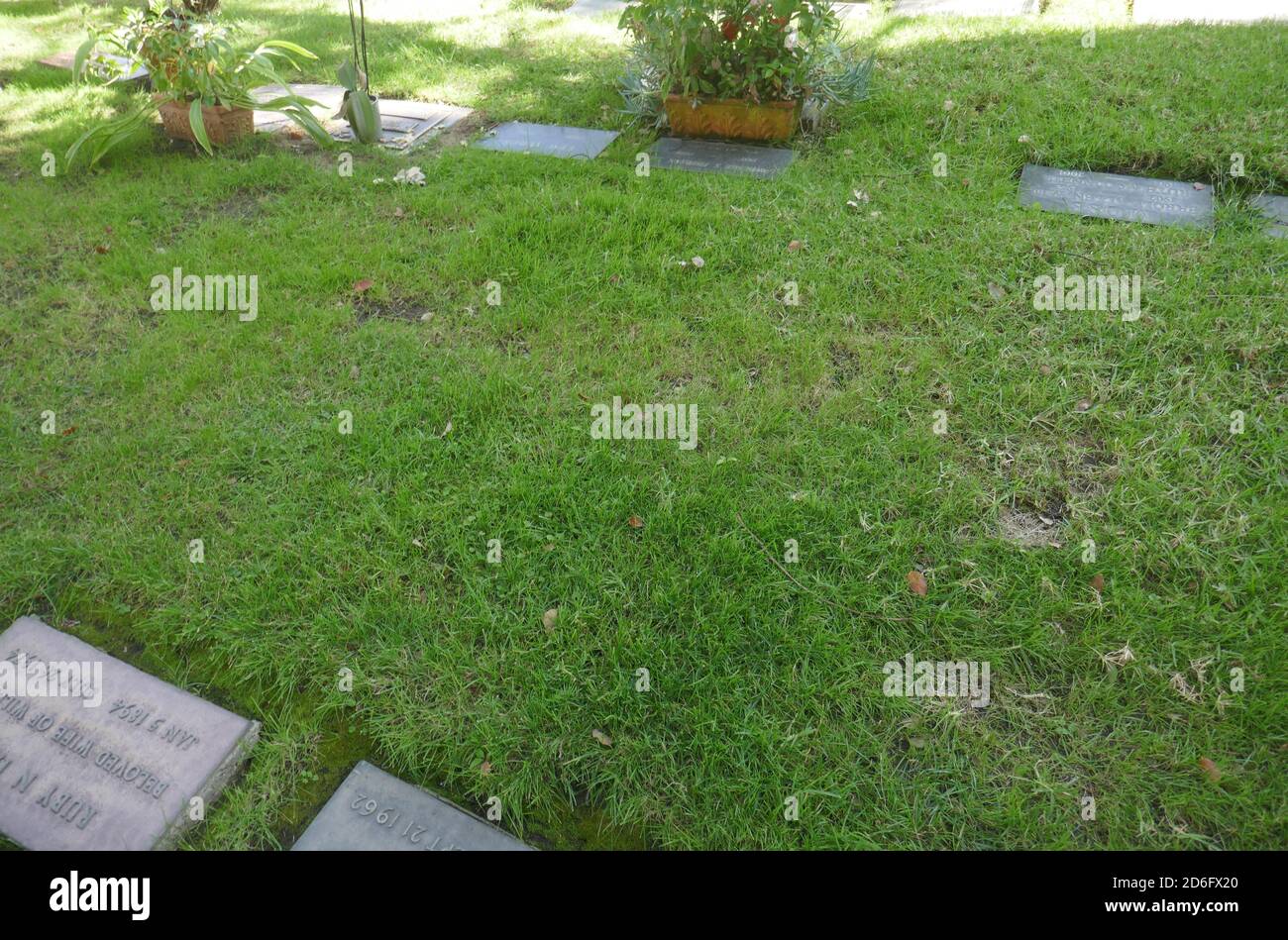 Los Angeles, California, USA 16th October 2020 A general view of ...