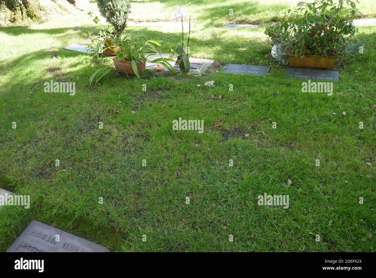 Los Angeles, California, USA 16th October 2020 A general view of ...