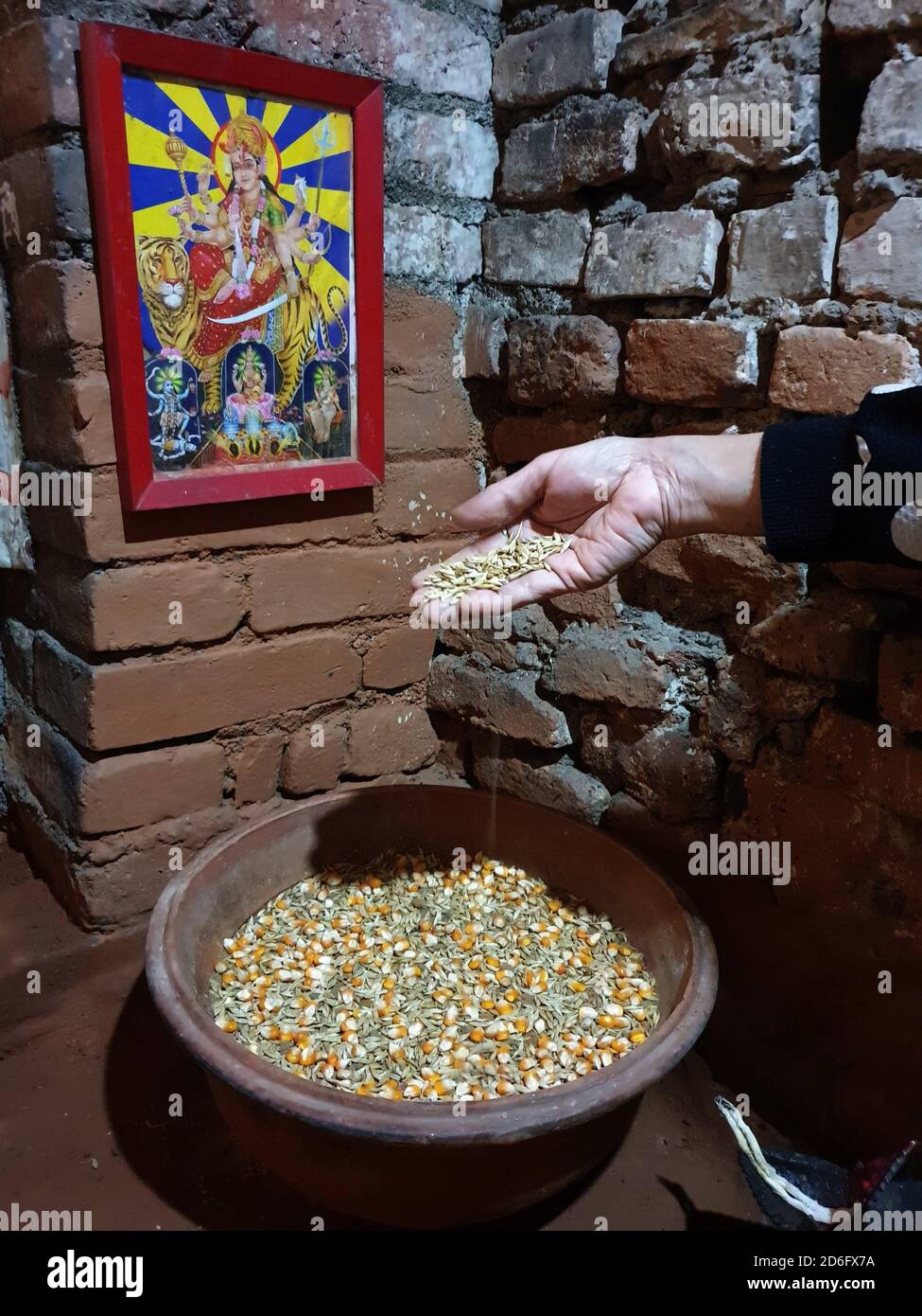 Kathmandu, Nepal. 17th Oct, 2020. A Nepali woman sows Jamara seeds to ...