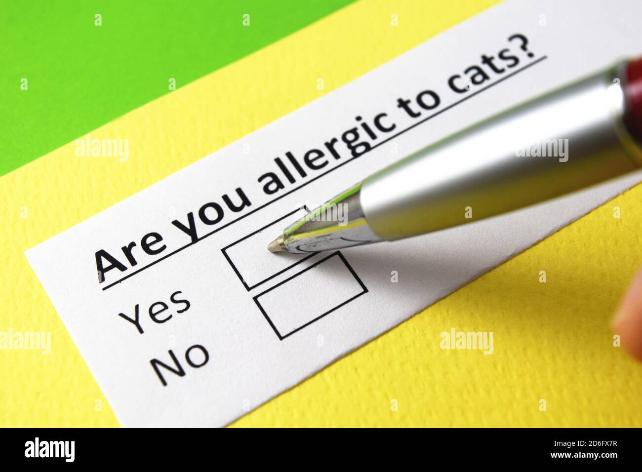 Are you allergic to cats? yes or no Stock Photo - Alamy