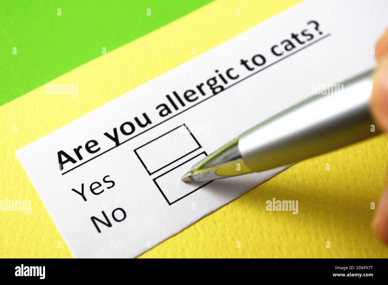 Are you allergic to cats? yes or no Stock Photo - Alamy