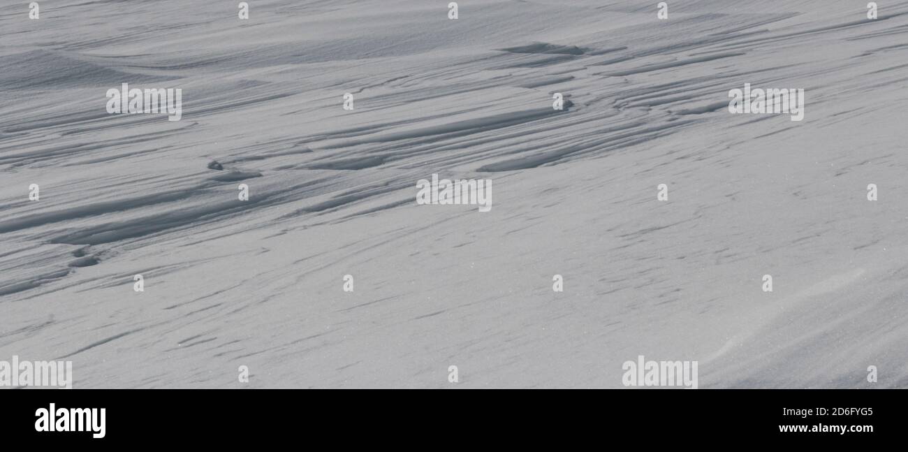 Natural patterns hi-res stock photography and images - Alamy