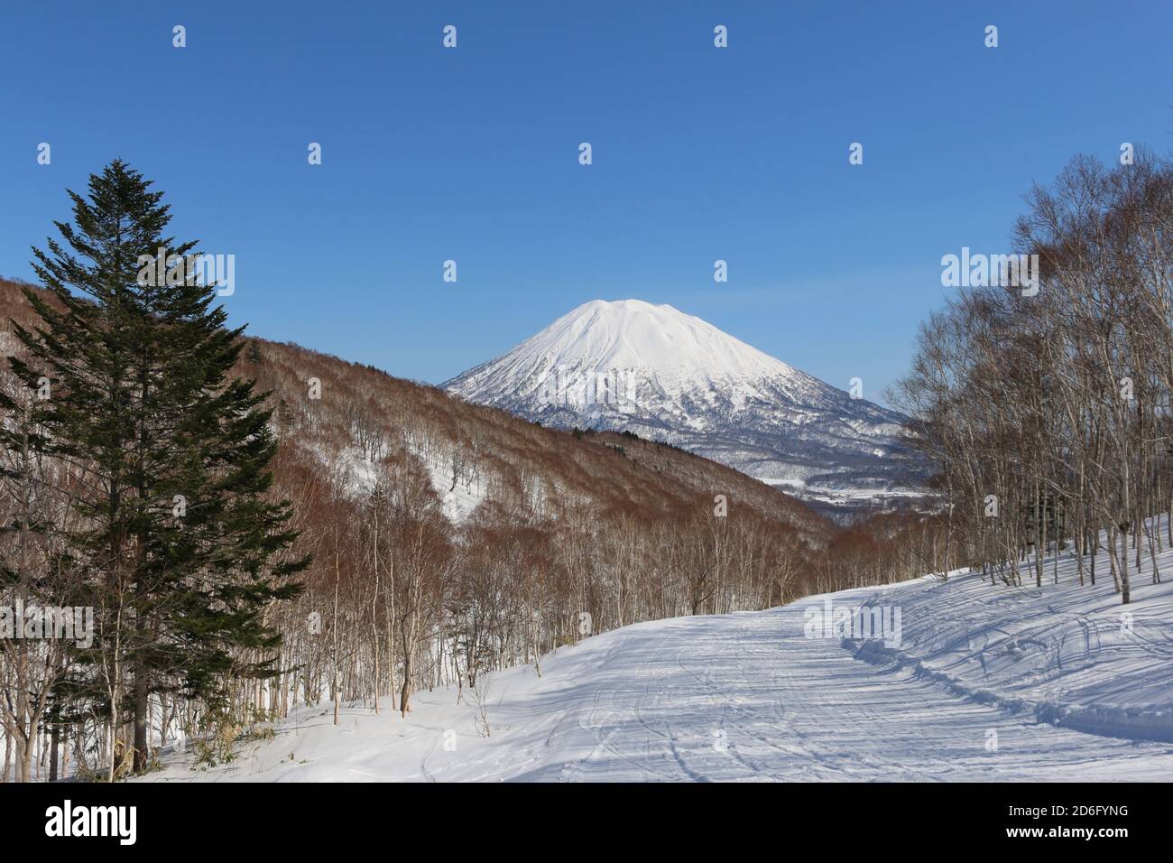 Beginner ski slope with Mount Yotei volcano in background, Niseko ...
