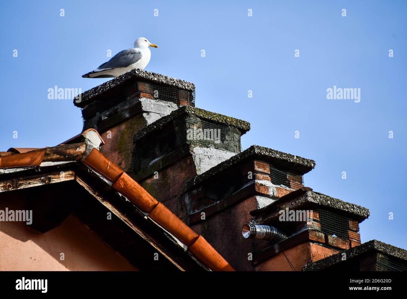 Stork tower china hi-res stock photography and images - Alamy