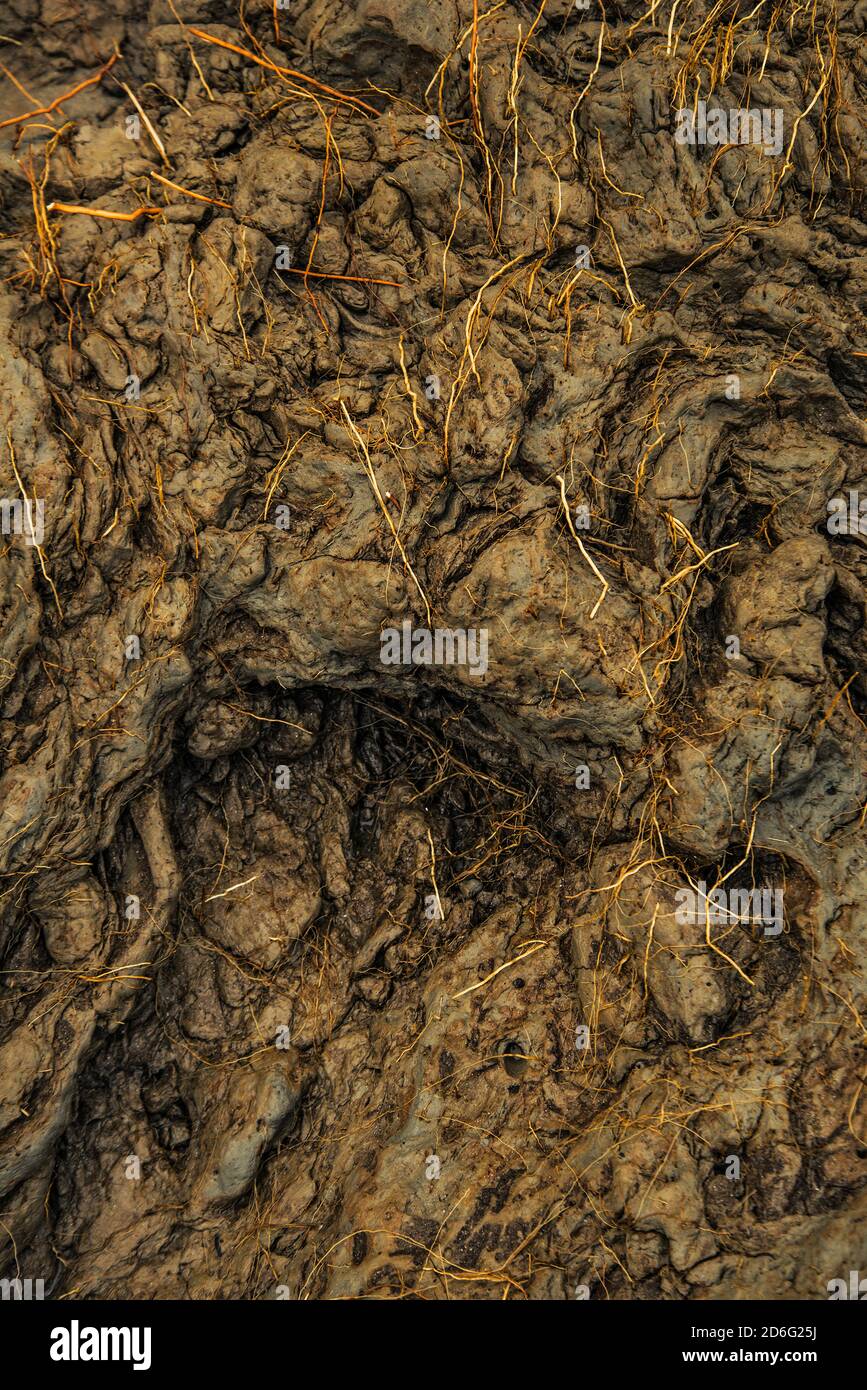 Rupsha River char soil Stock Photo - Alamy